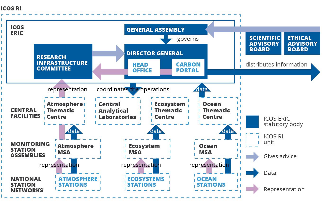 Structure of ICOS | ICOS